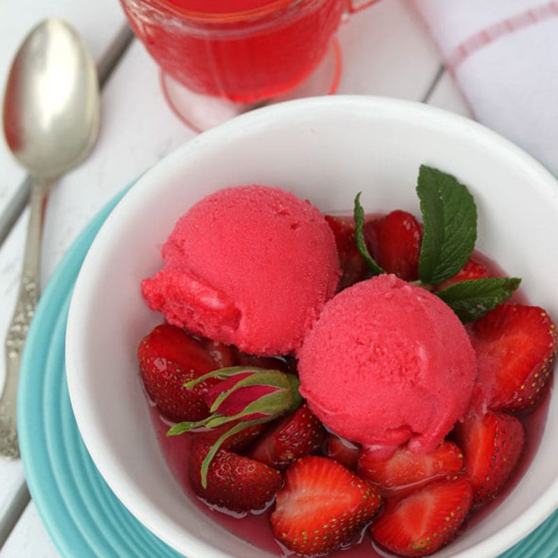 Rugosa Rose Syrup - Julia Usher