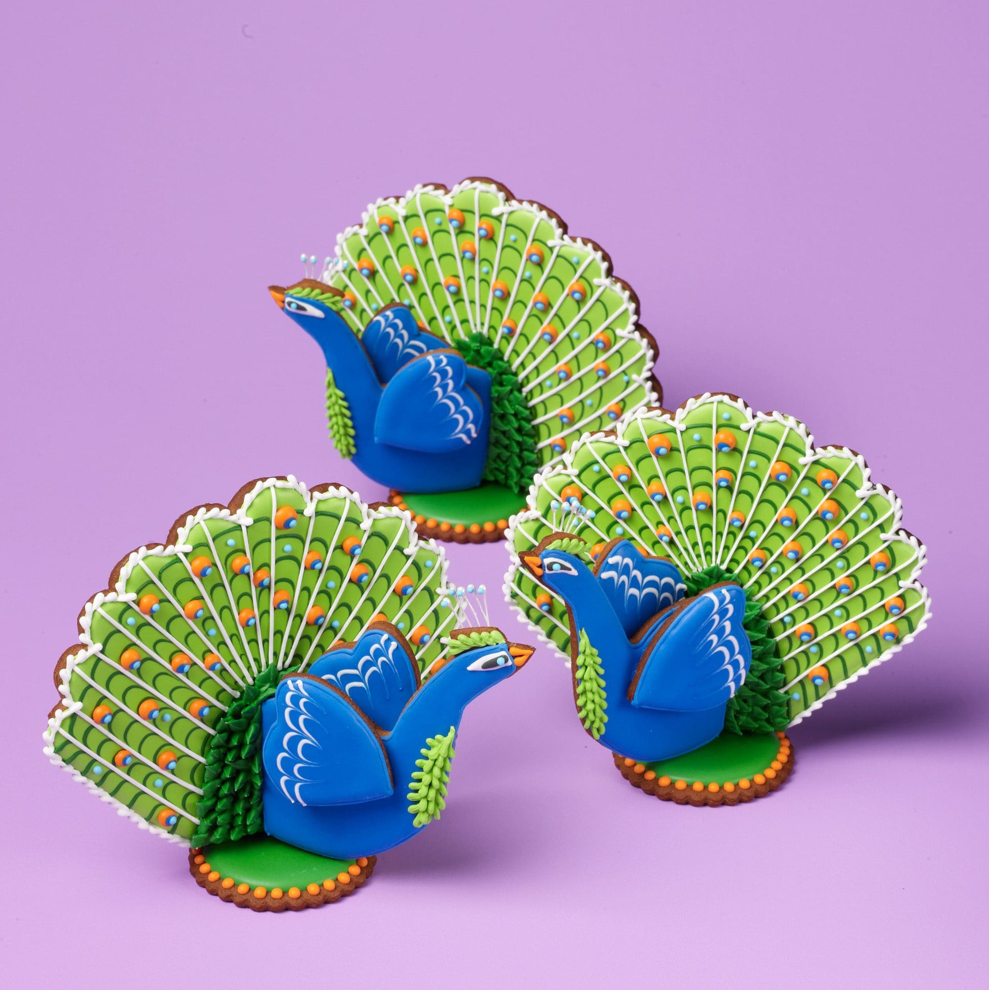 Proud as a Peacock - Julia Usher