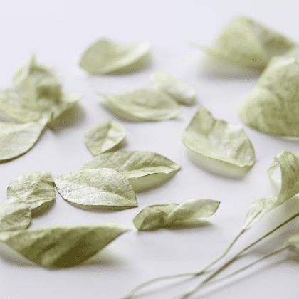 How to Make Wafer Paper Leaves - Plus, Bows and Ribbons - Julia Usher
