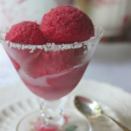 Cranberry-Cabernet Rosemary Sorbet - Julia Usher
