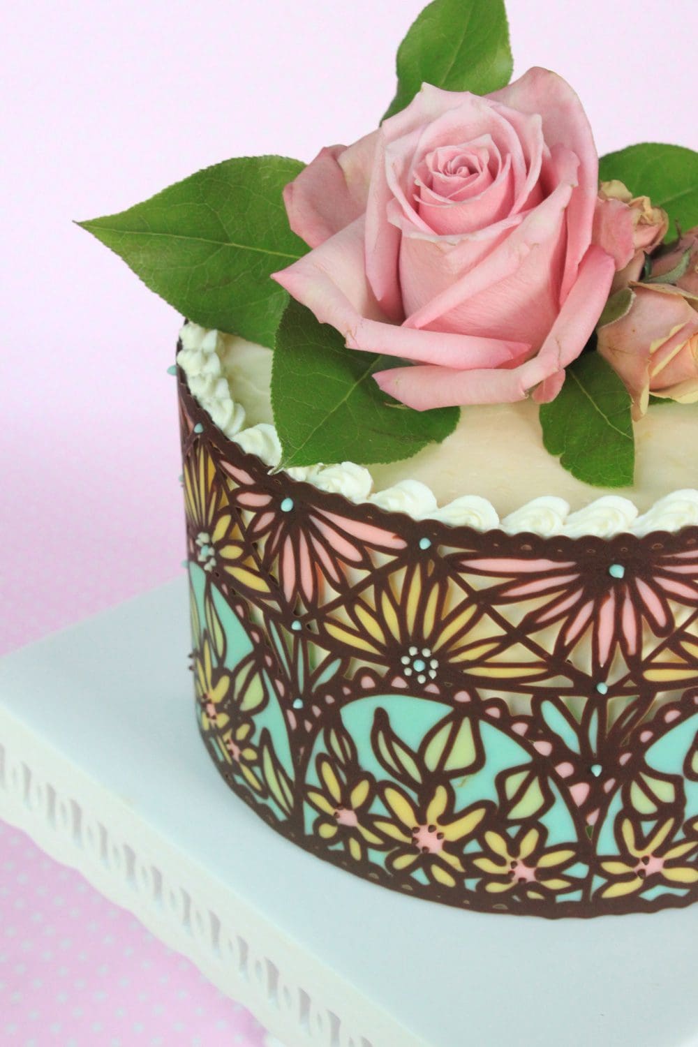 Not So Fast! - Julia Usher